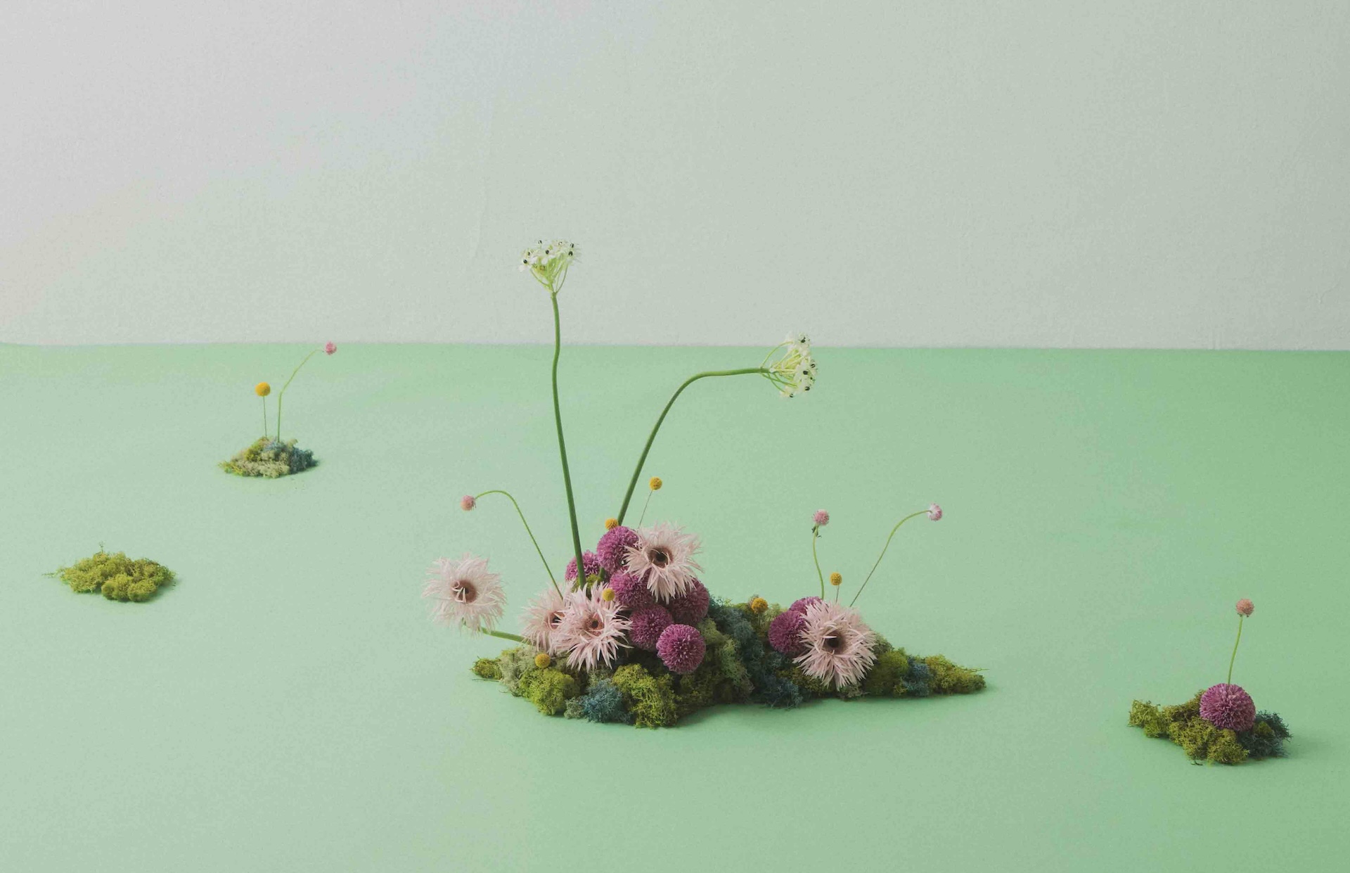 mura | Flower Artist